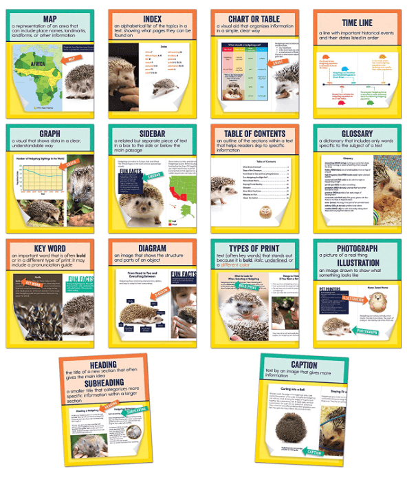 Nonfiction Text Structures and Mentor Texts