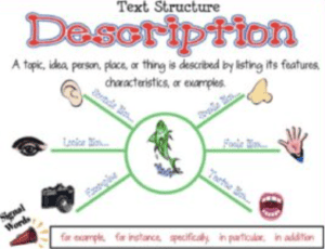 Nonfiction Text Structures and Mentor Texts